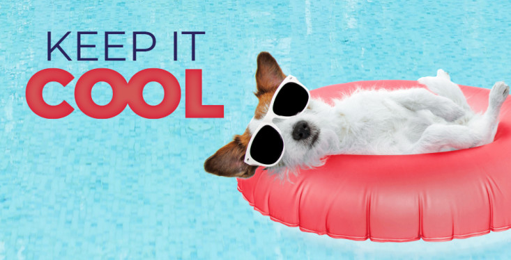 Grote dierenwinkel vlakbij Zutphen