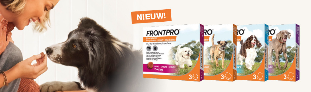 Frontpro | Animal World