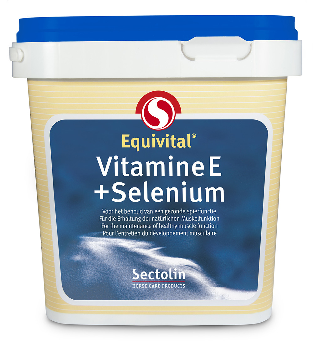 What Is Vitamin E And Selenium Good For at Wanda Hatton blog