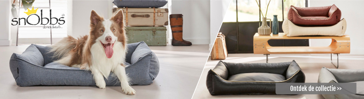 De grootste dierenwinkel in de regio Breda/Roosendaal - Animal World