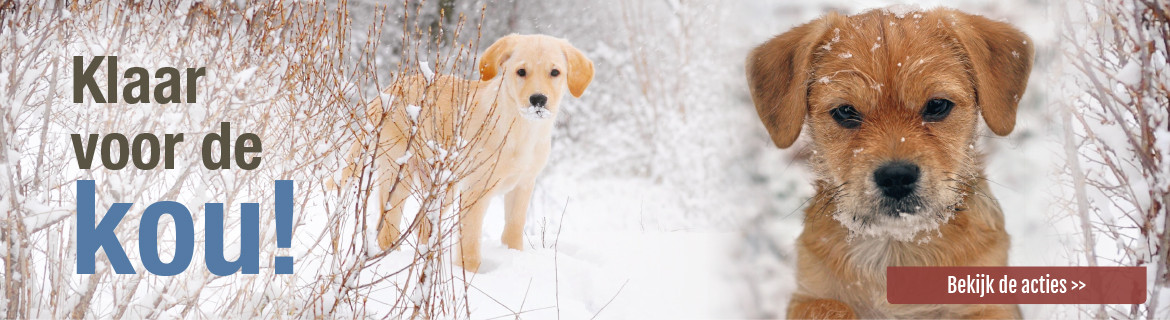 De grootste dierenwinkel in de regio Breda/Roosendaal - Animal World