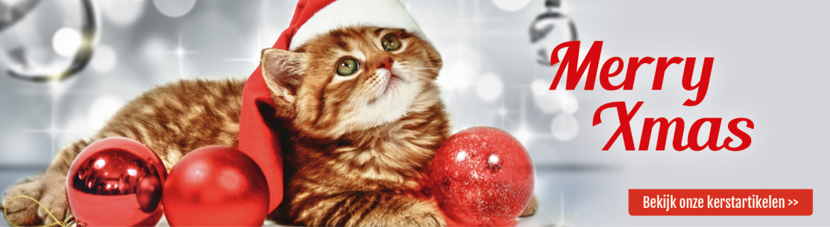 De grootste dierenwinkel in de regio Breda/Roosendaal - Animal World