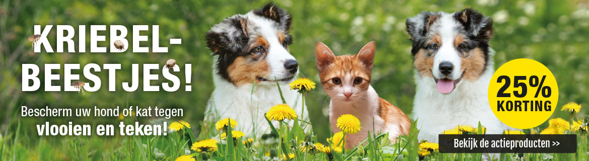 De grootste dierenwinkel in de regio Breda/Roosendaal | Animal World