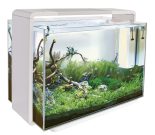 Grote dierenwinkel + tuincentrum Den Haag